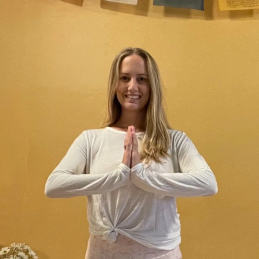 Yoga Classes in Evanston, IL — Ahimsa Yoga Studio