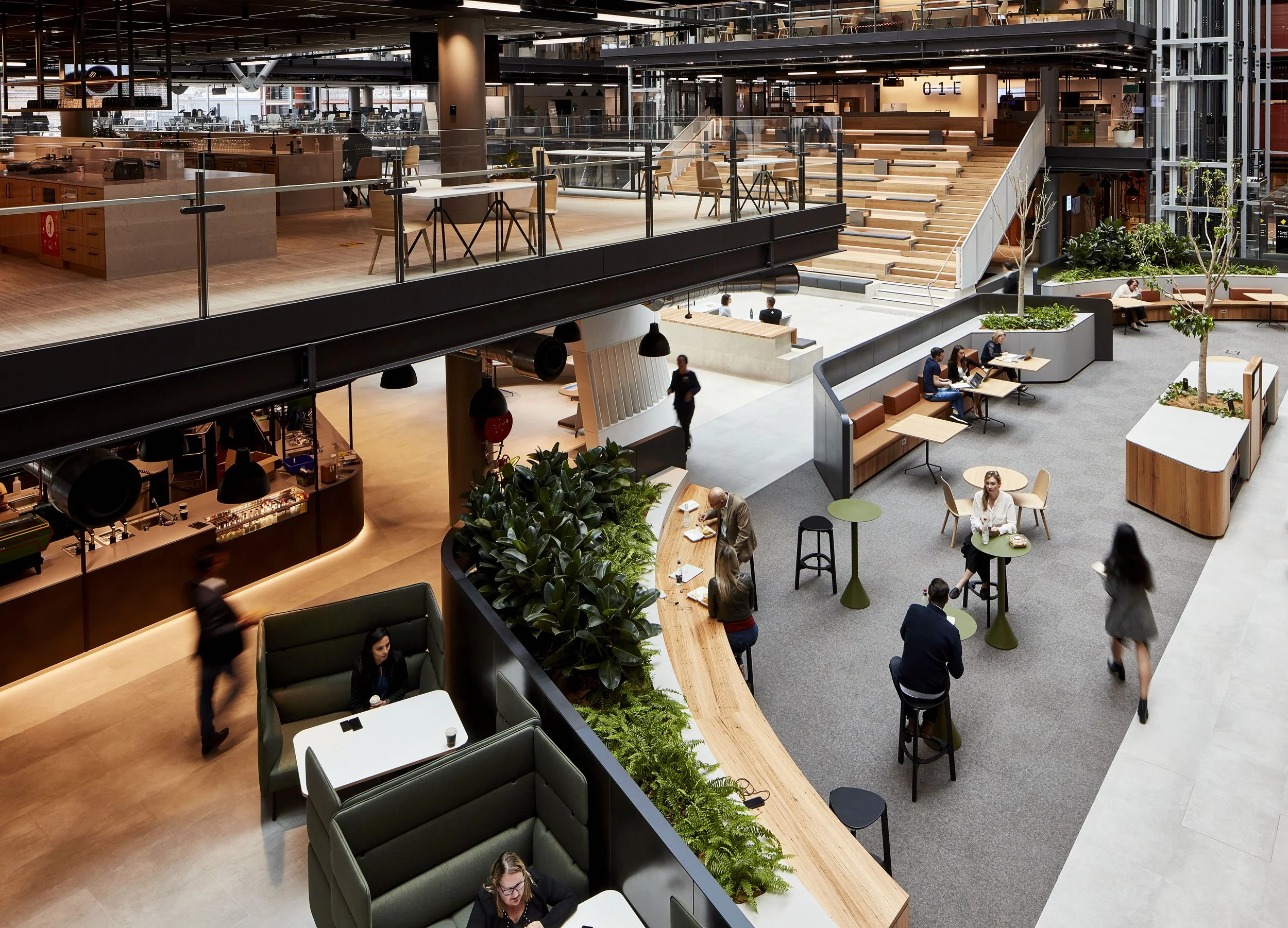 CBA South Eveleigh — Davenport Campbell