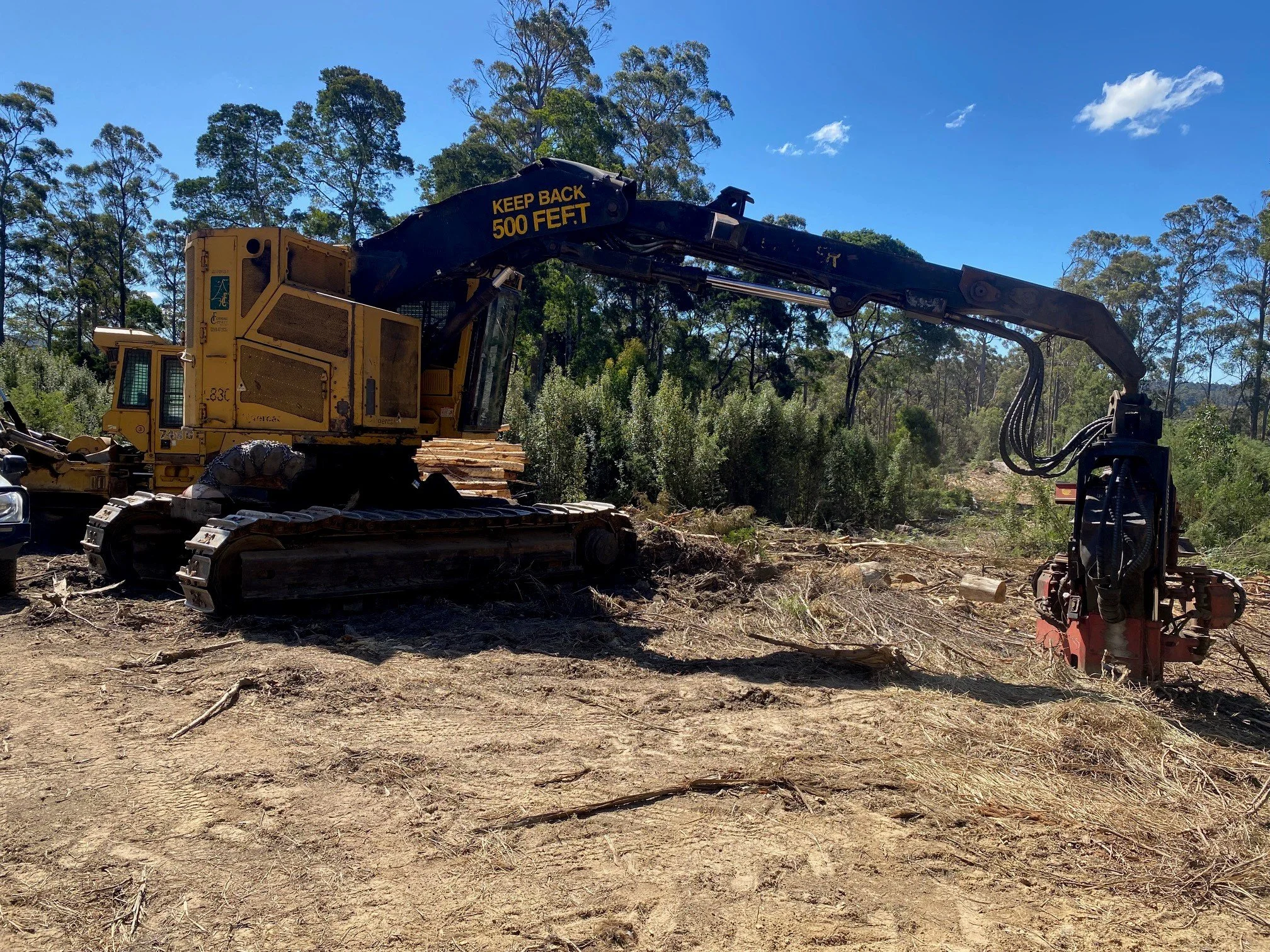 Feller Bunchers — RTW