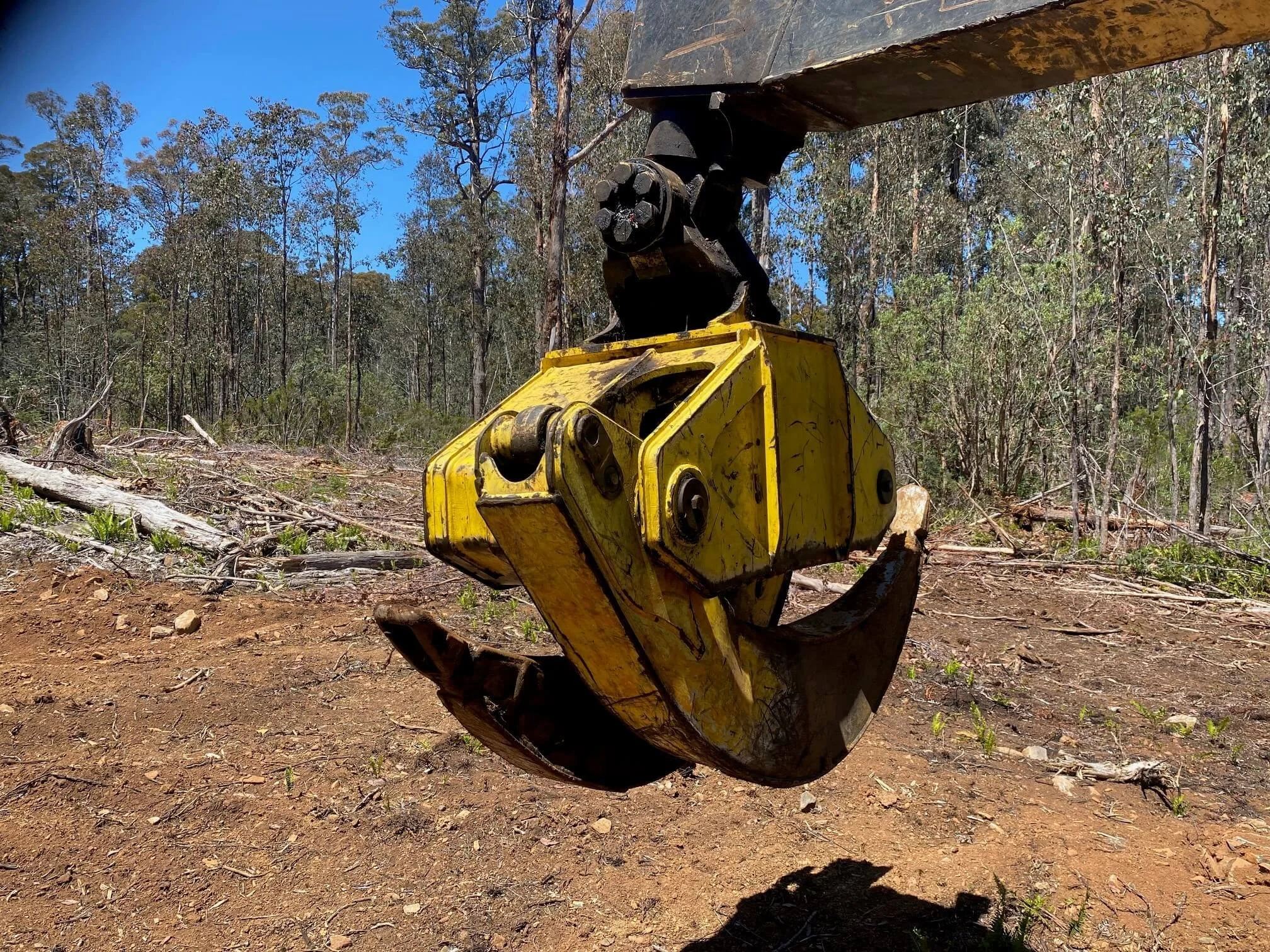 Log Skidders — RTW