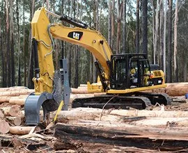 New Hardwood Forest Products Information — RTW