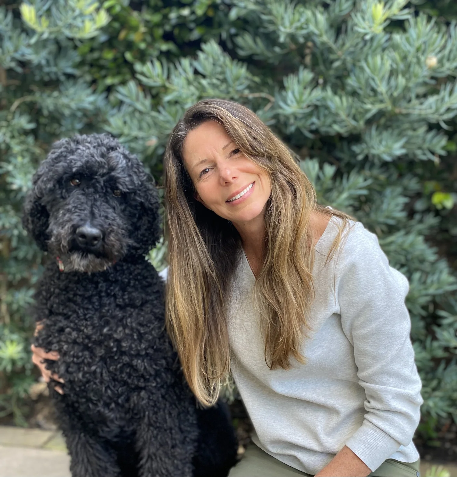 About — Marin Mobile Vet/ Paige Farnell DVM