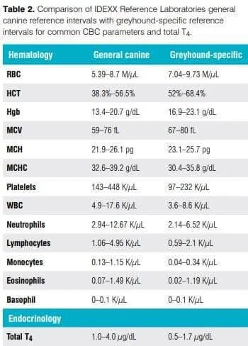 Photo References — May Hounds | Greyhound Rehoming Group