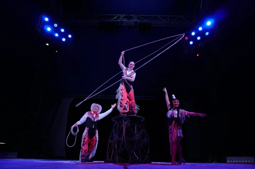 Gallery — The Circus