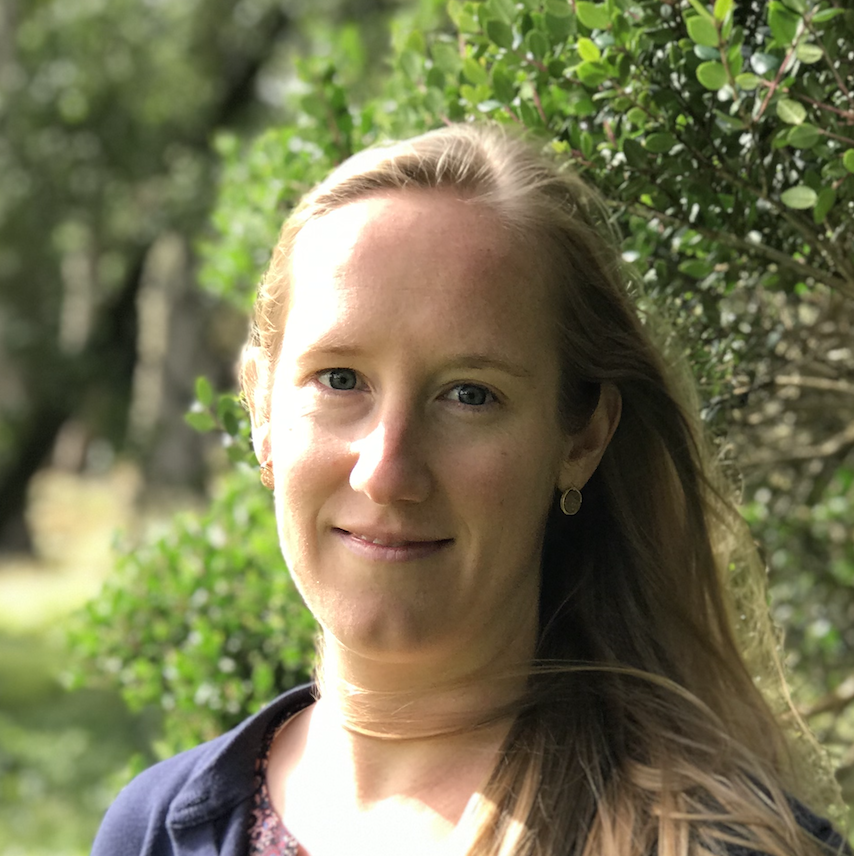 Our team — Dashboard.Earth