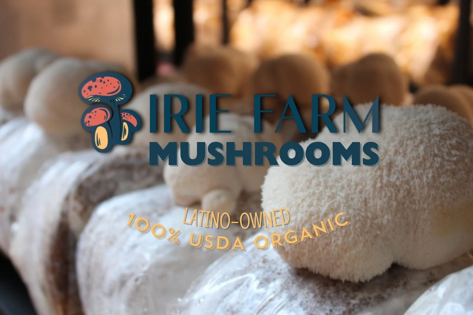 Irie Mushroom Farm