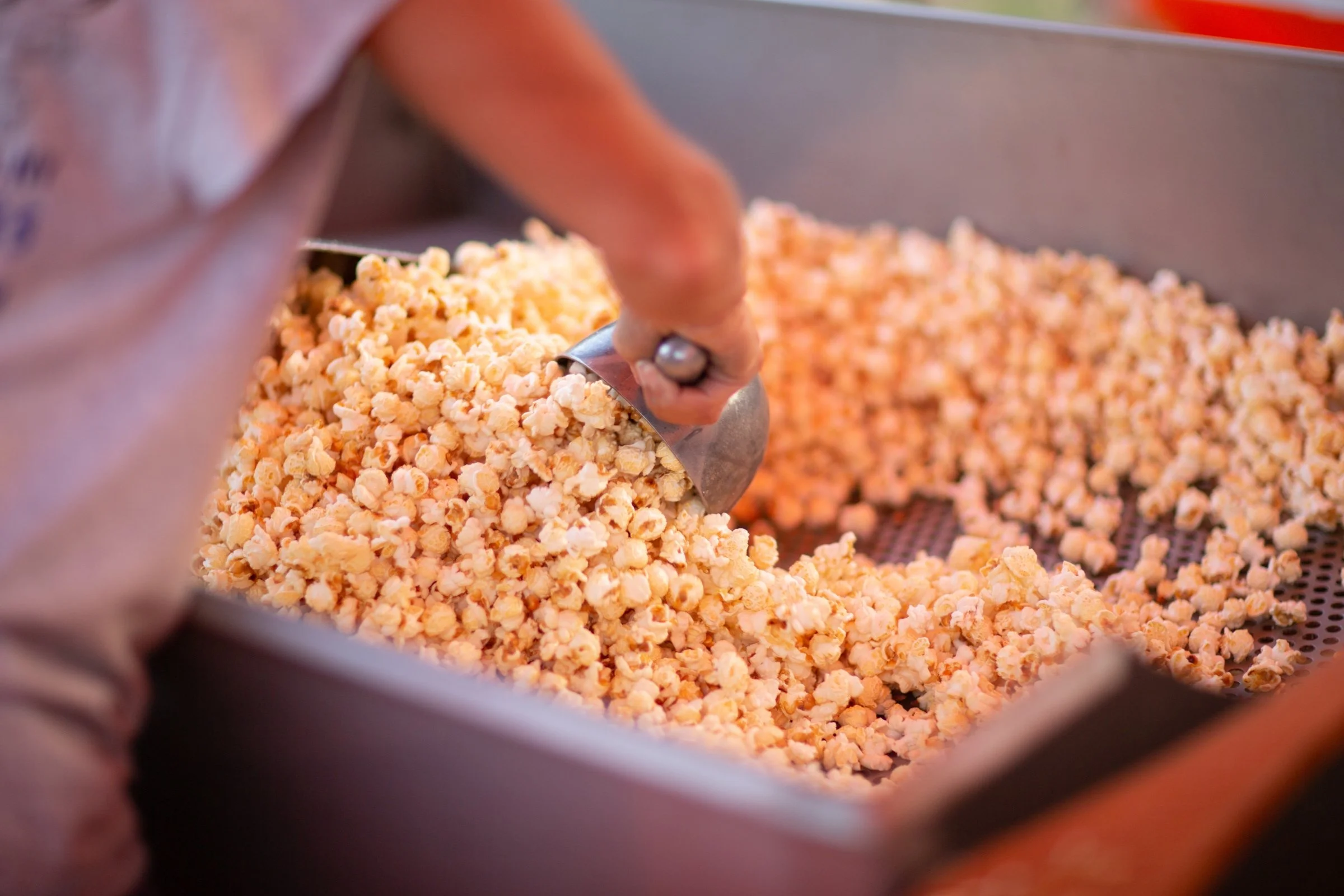 Gallery — Warwick Food Truck Festival