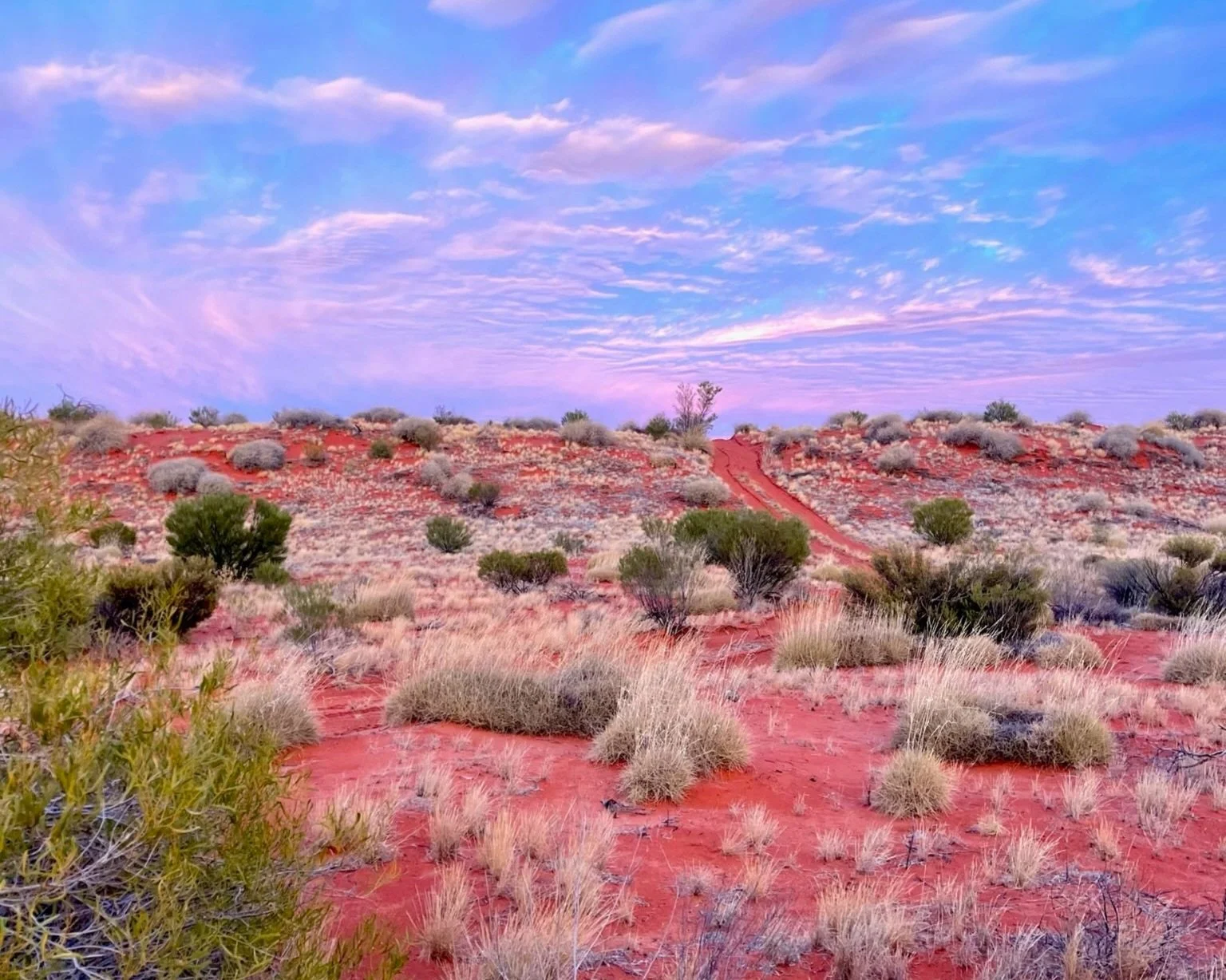 Star Gazers Desert Explorer — KOPING IN THE OUTBACK
