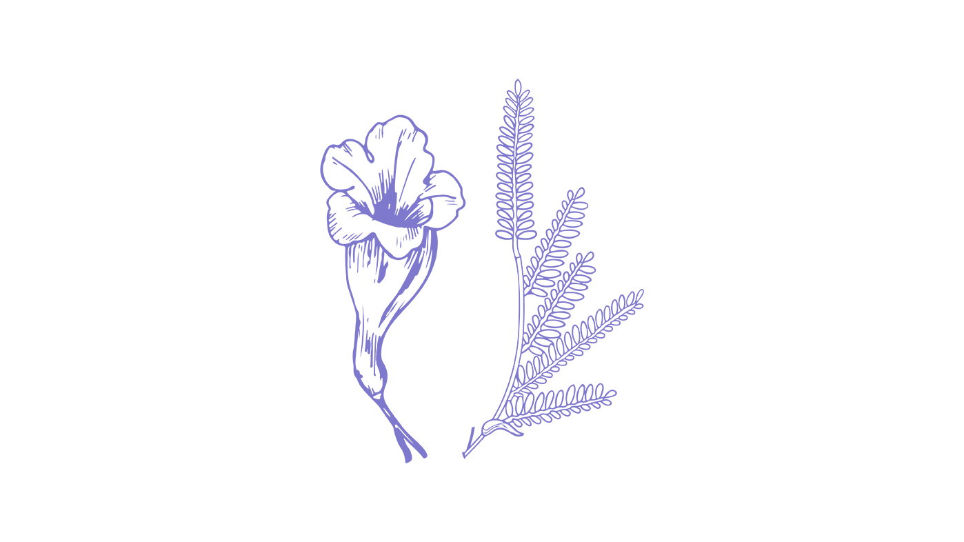 Menu 1 — Jacaranda