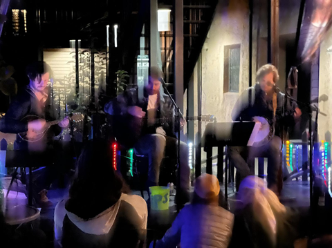 PettyGrass — AUCKLAND FOLK FESTIVAL