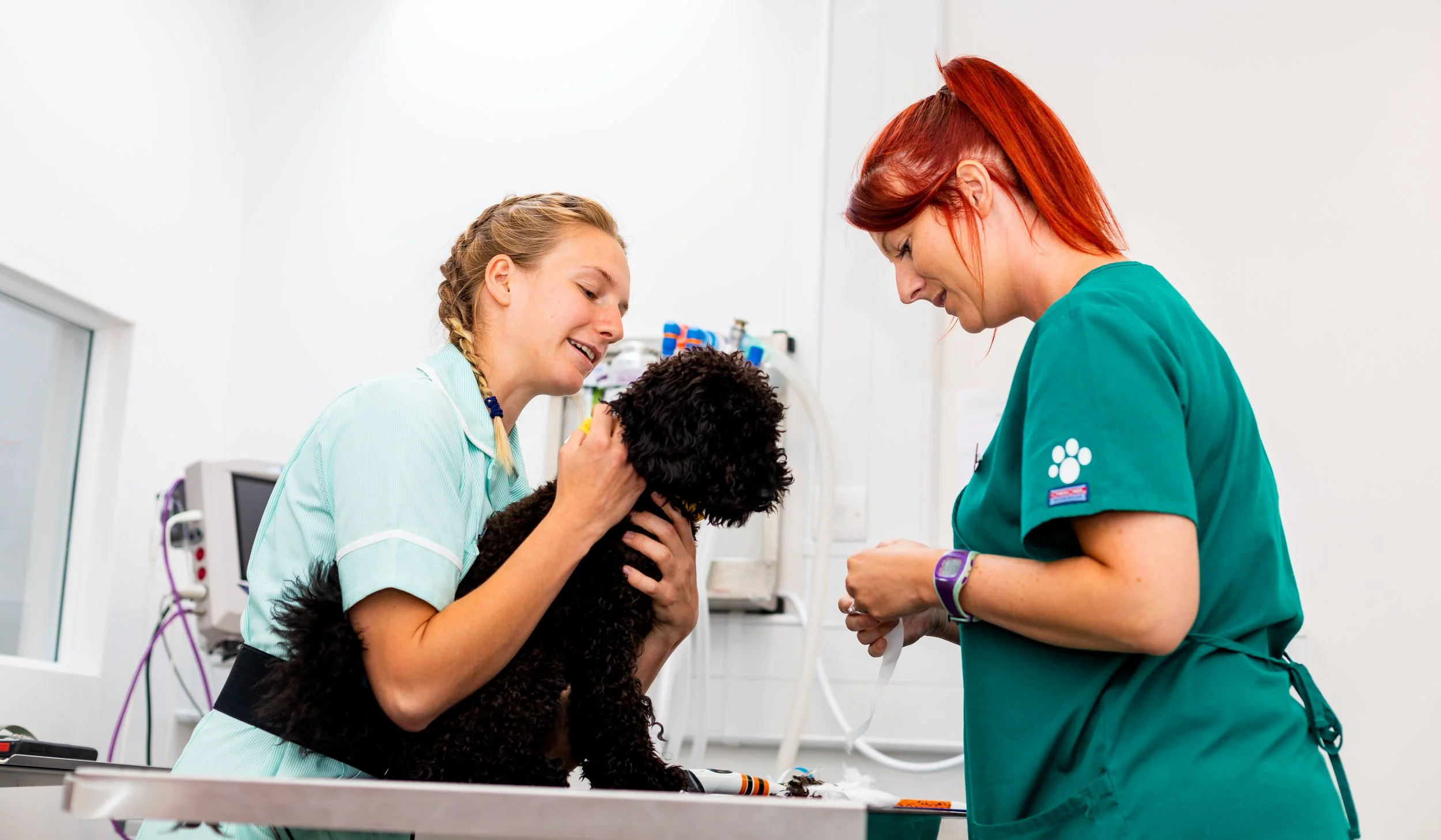 Our Qualifications — VetSkill