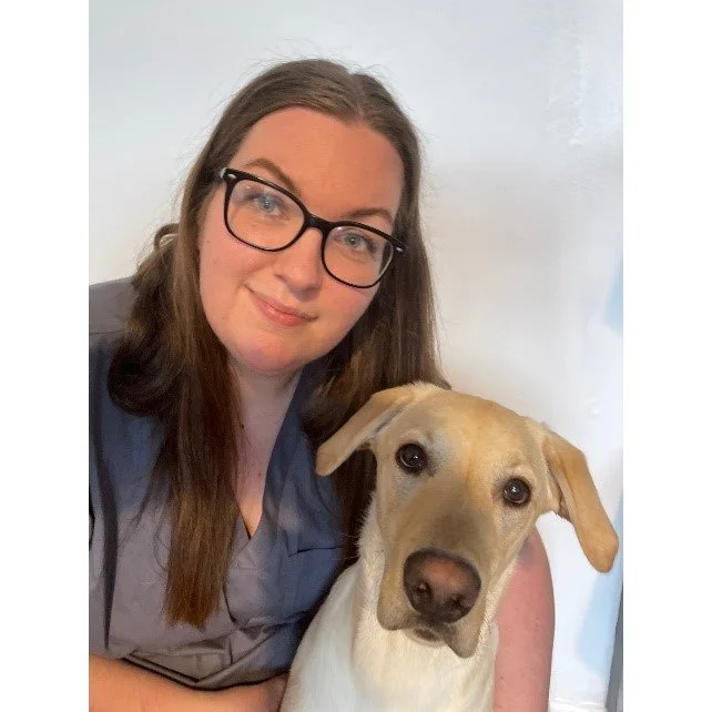 VetSkill Suitably Qualified Person (SQP) Status for Eligible Veterinary Nurses — VetSkill