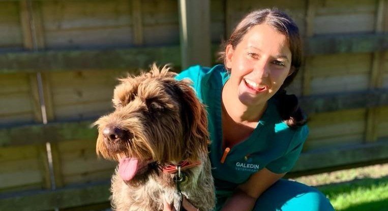 VetSkill certificates over 500 apprentices! — VetSkill