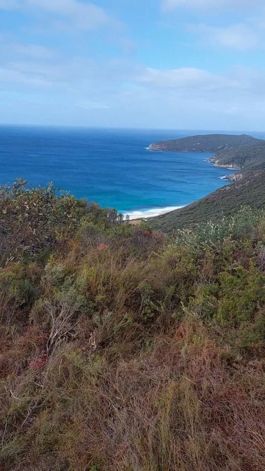 Wild Forest Studio - Handcrafted Jewellery - Wild Forest Studio