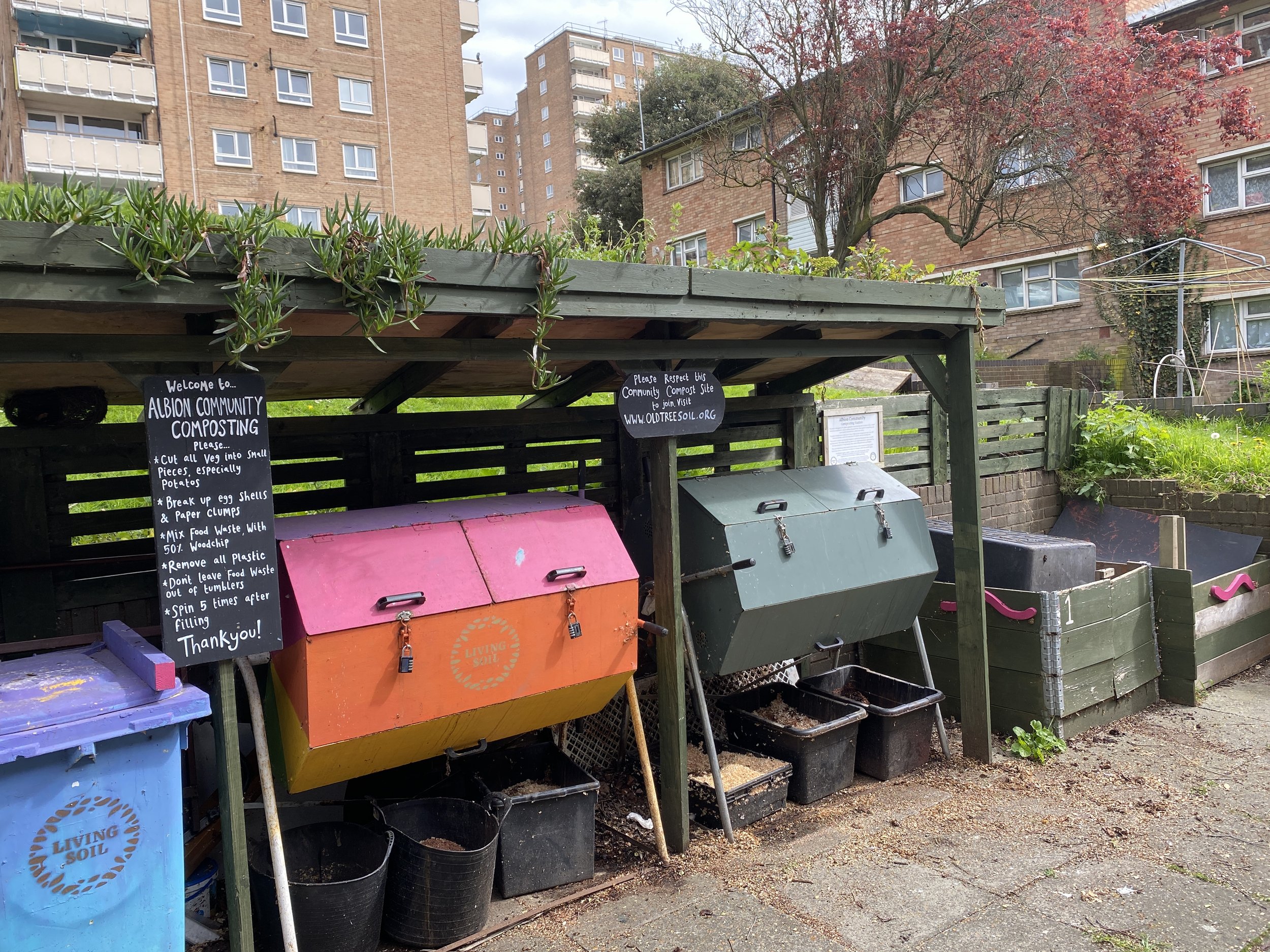 Old Tree Soil I Brighton Living Soil Compost Club I Mycelium Composting ...