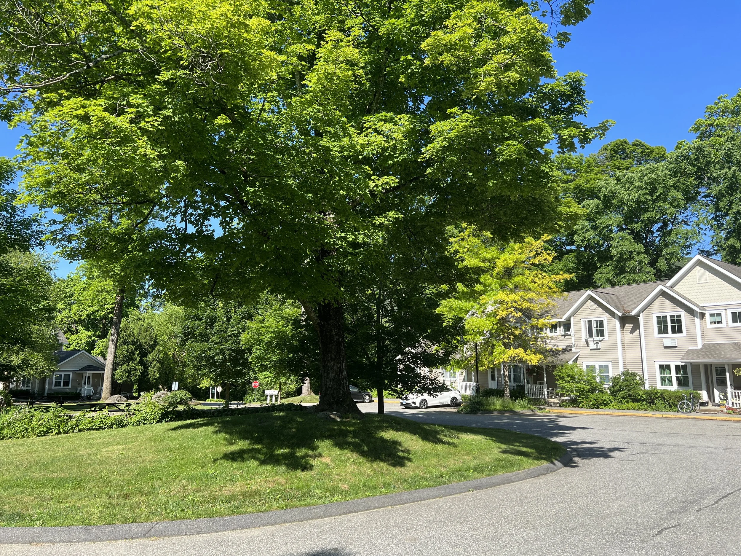 Kent Affordable Housing