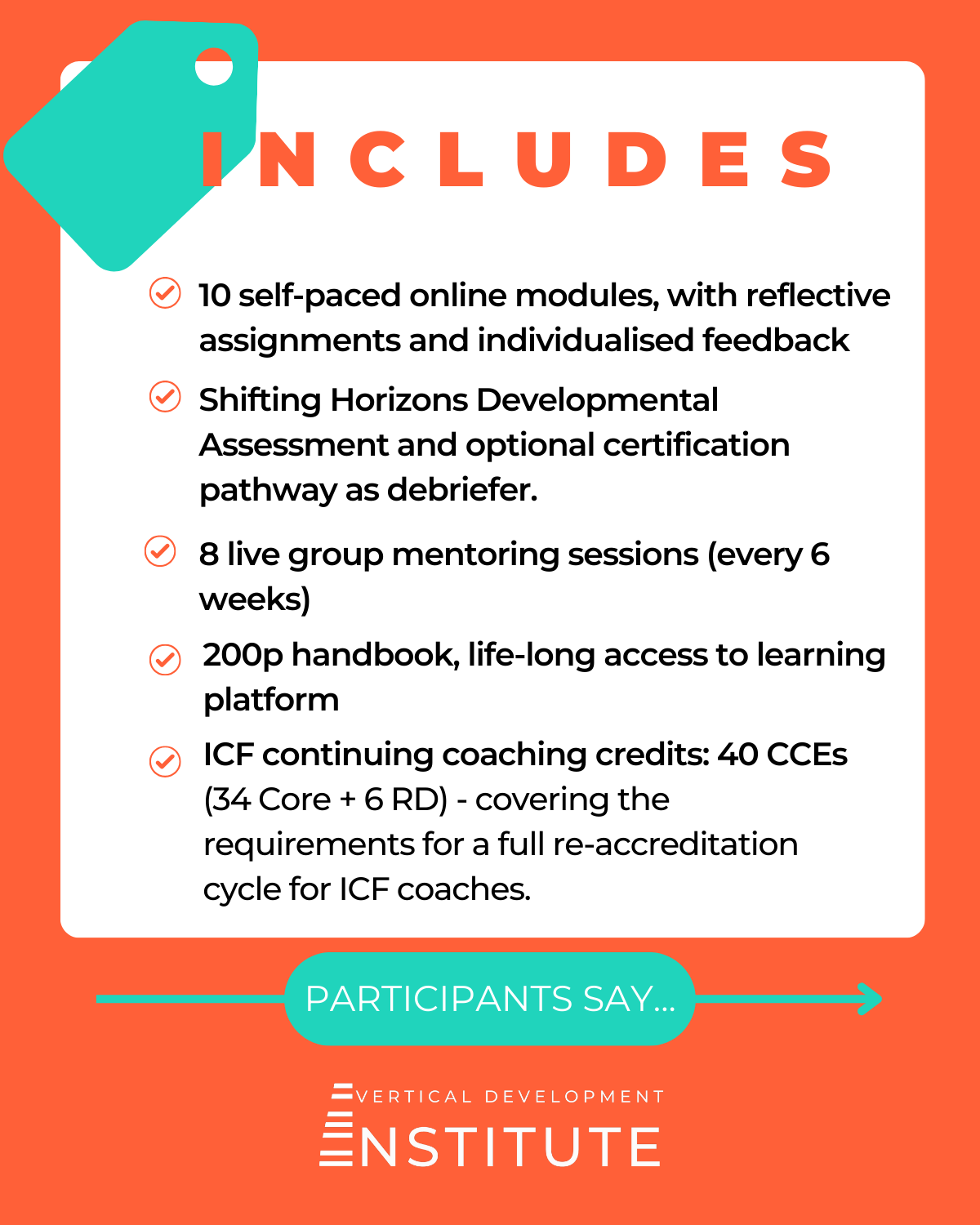 Vertical Development Institute | Leadership Development & Coach Training