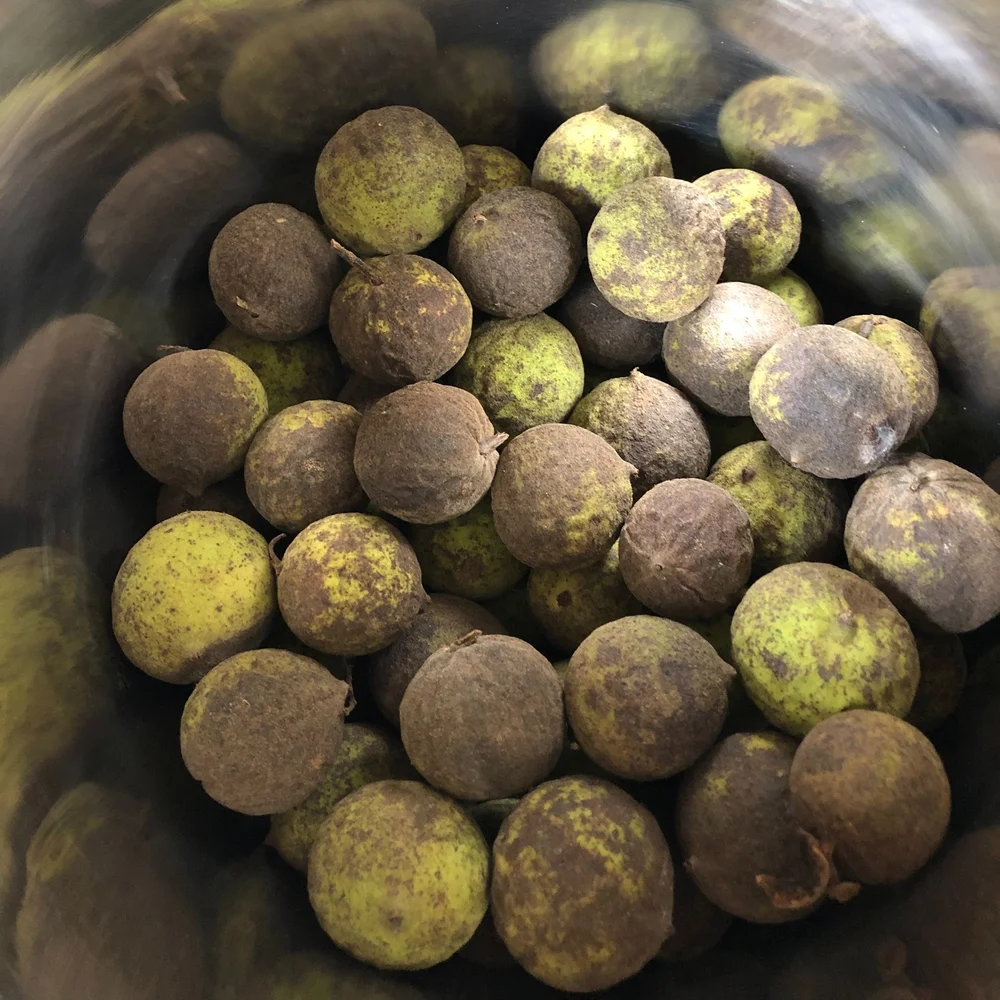 Erika's Some-Nonsense Black Walnut Ink Recipe — Erika Karl Studio