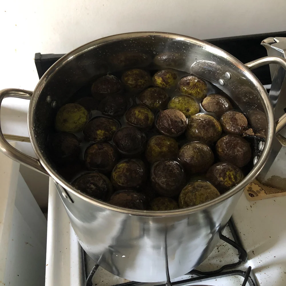 Erika's Some-Nonsense Black Walnut Ink Recipe — Erika Karl Studio