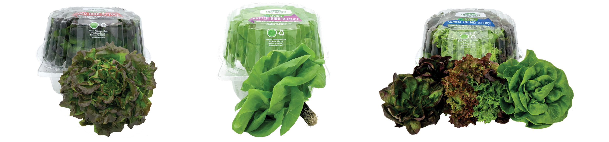 DeGoede Farms - Local Greenhouse Grown Greens & Herbs