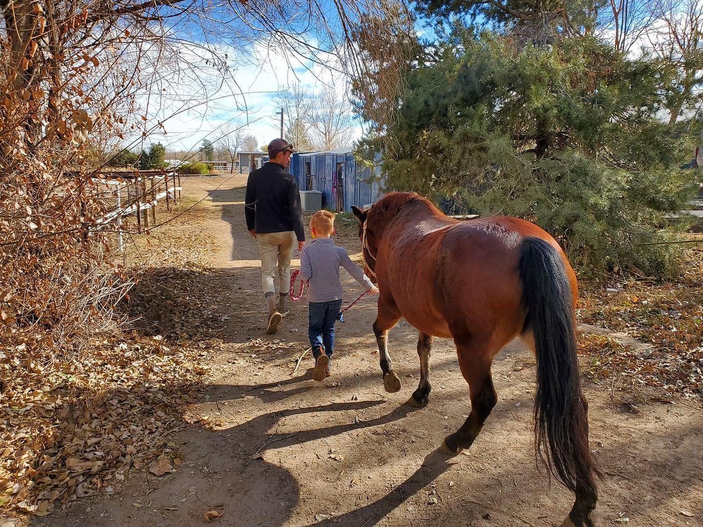 Riding Lessons — The Four Winds