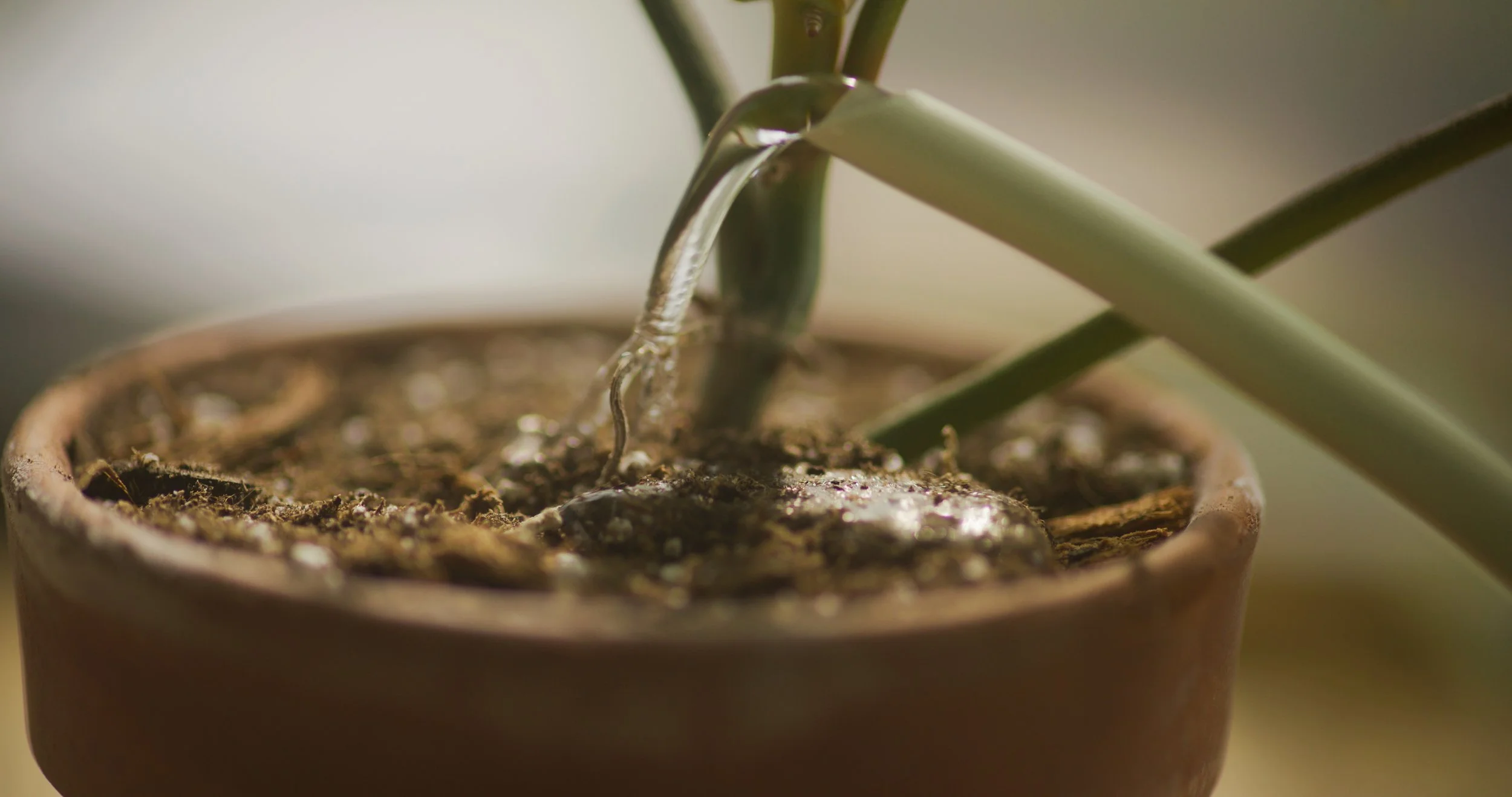 Sparkle Women's Conference