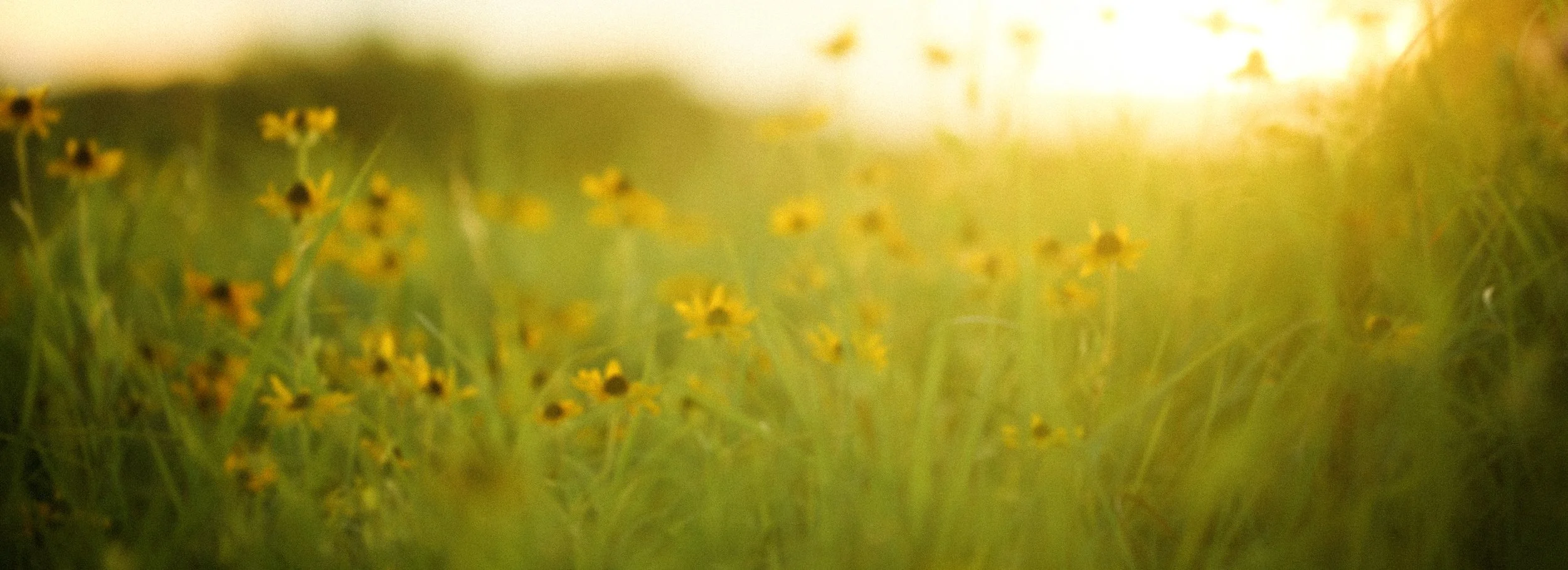 Sparkle Women's Conference