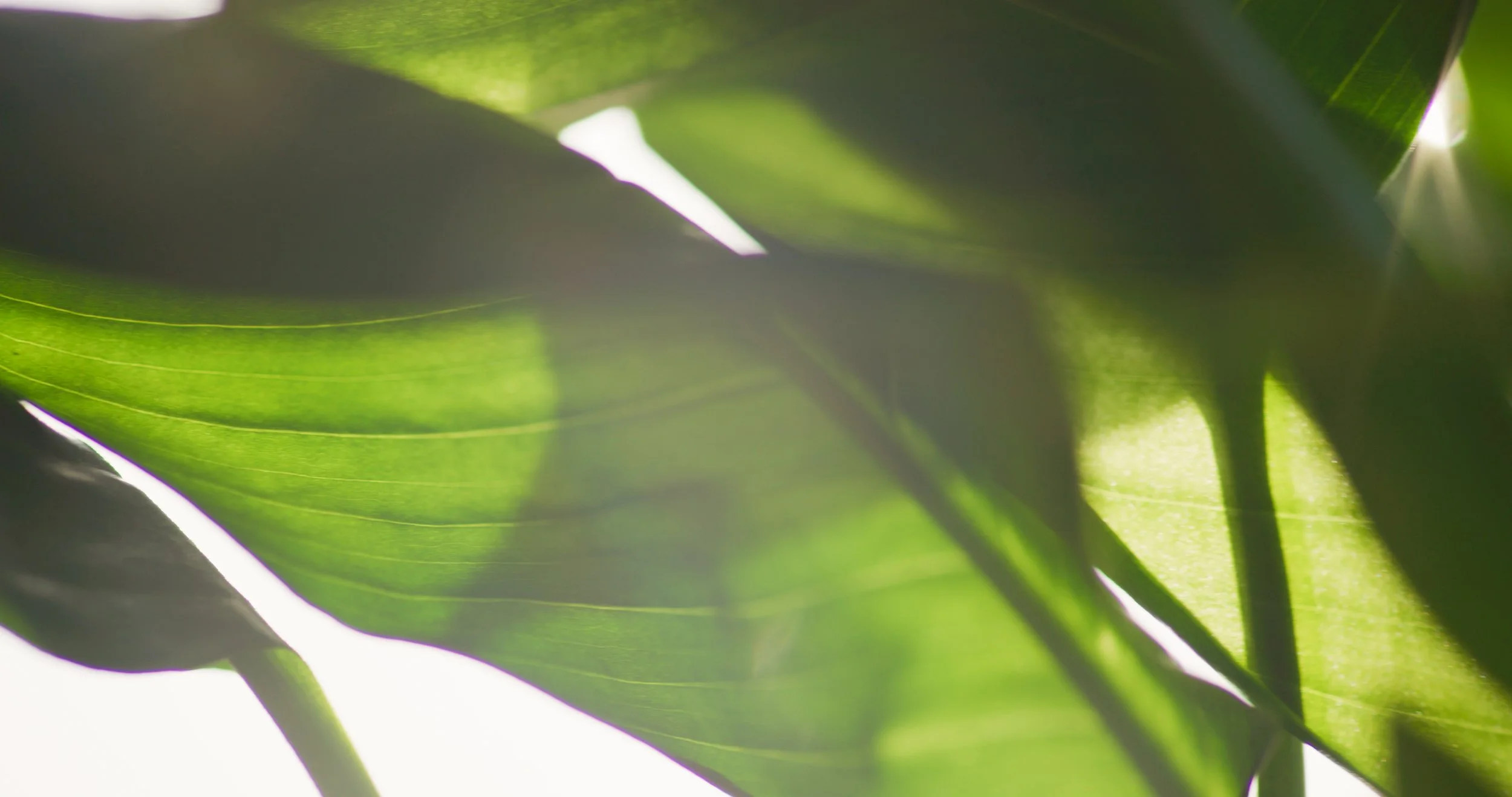 Sparkle Women's Conference