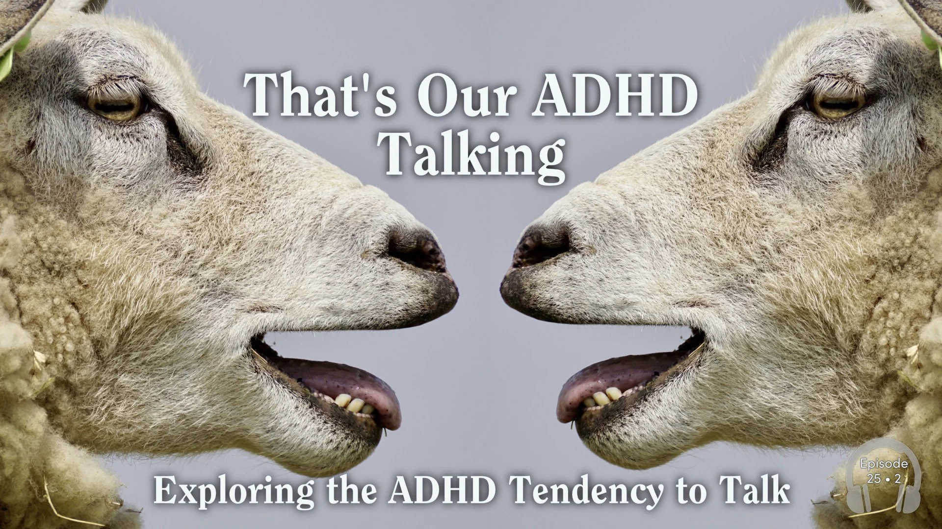 It’s Our ADHD Talking — Take Control ADHD