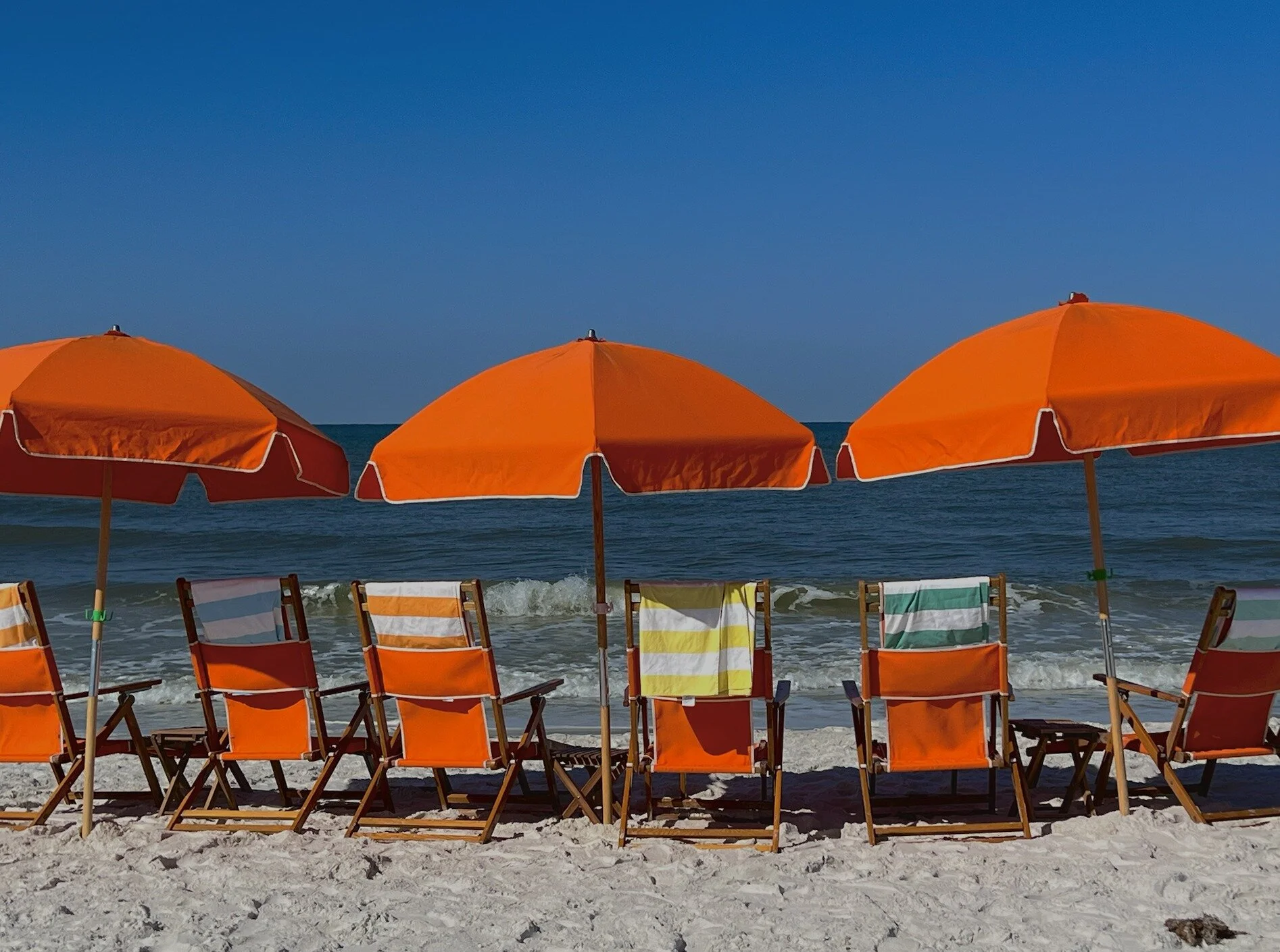 San Flea Beach Service