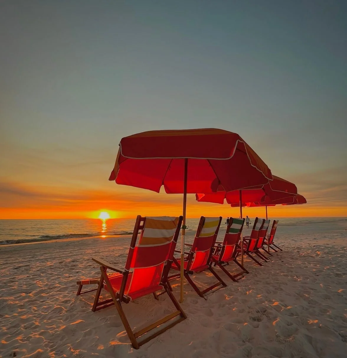 San Flea Beach Service