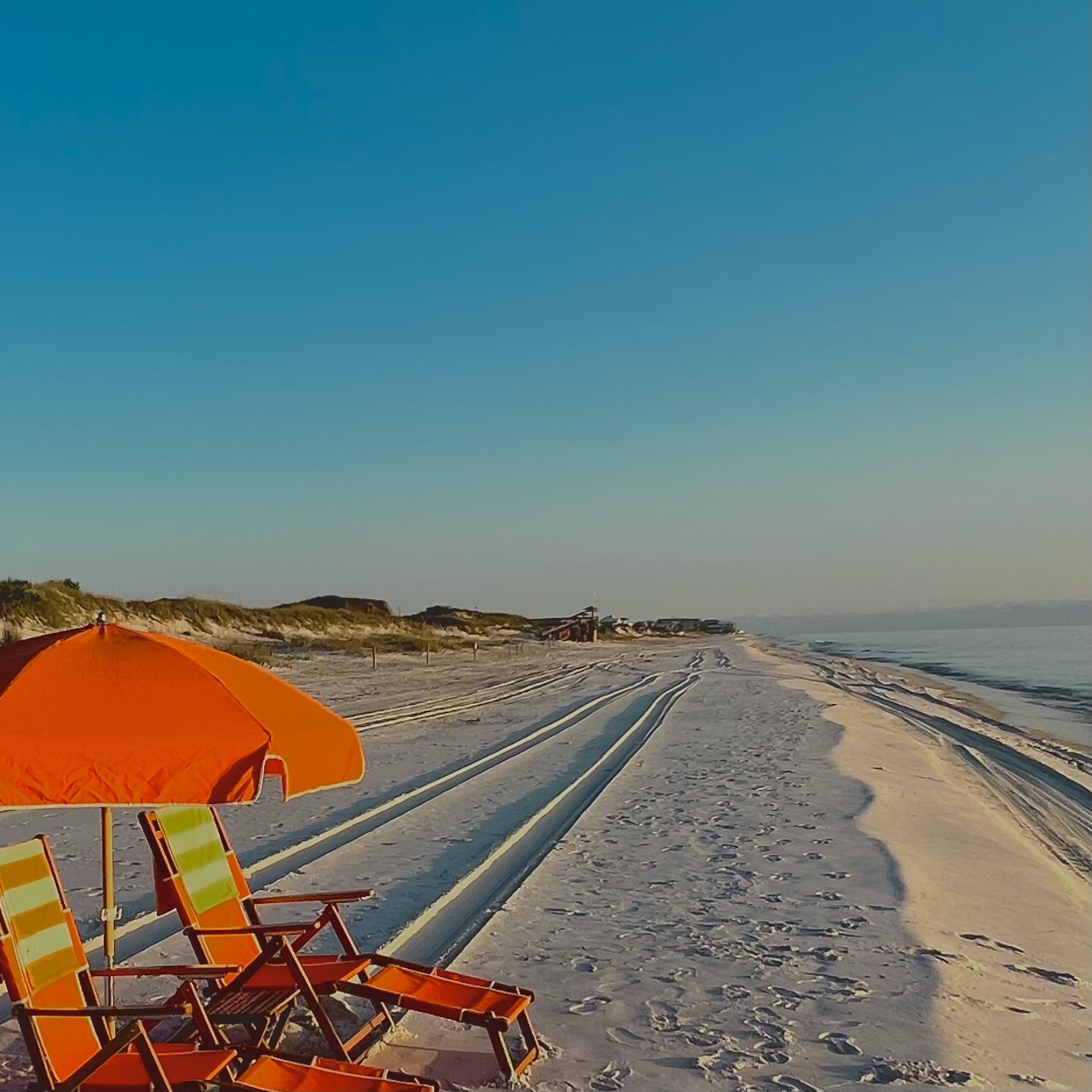 San Flea Beach Service