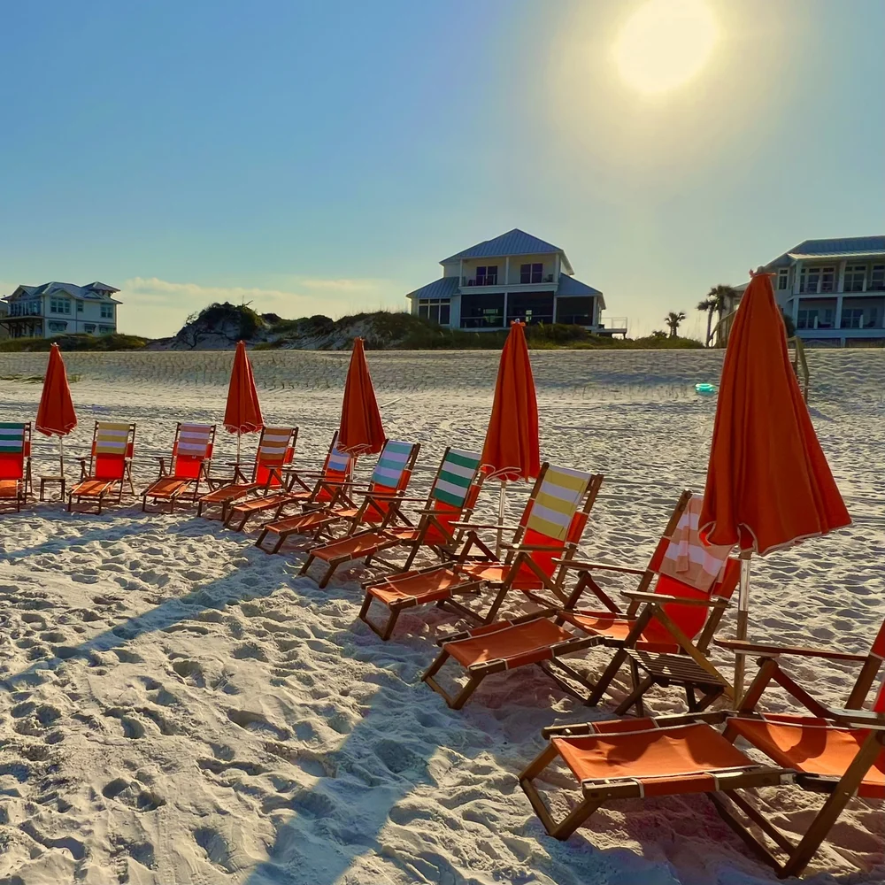 San Flea Beach Service