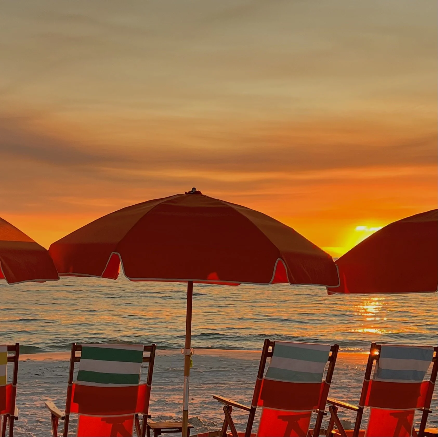 San Flea Beach Service