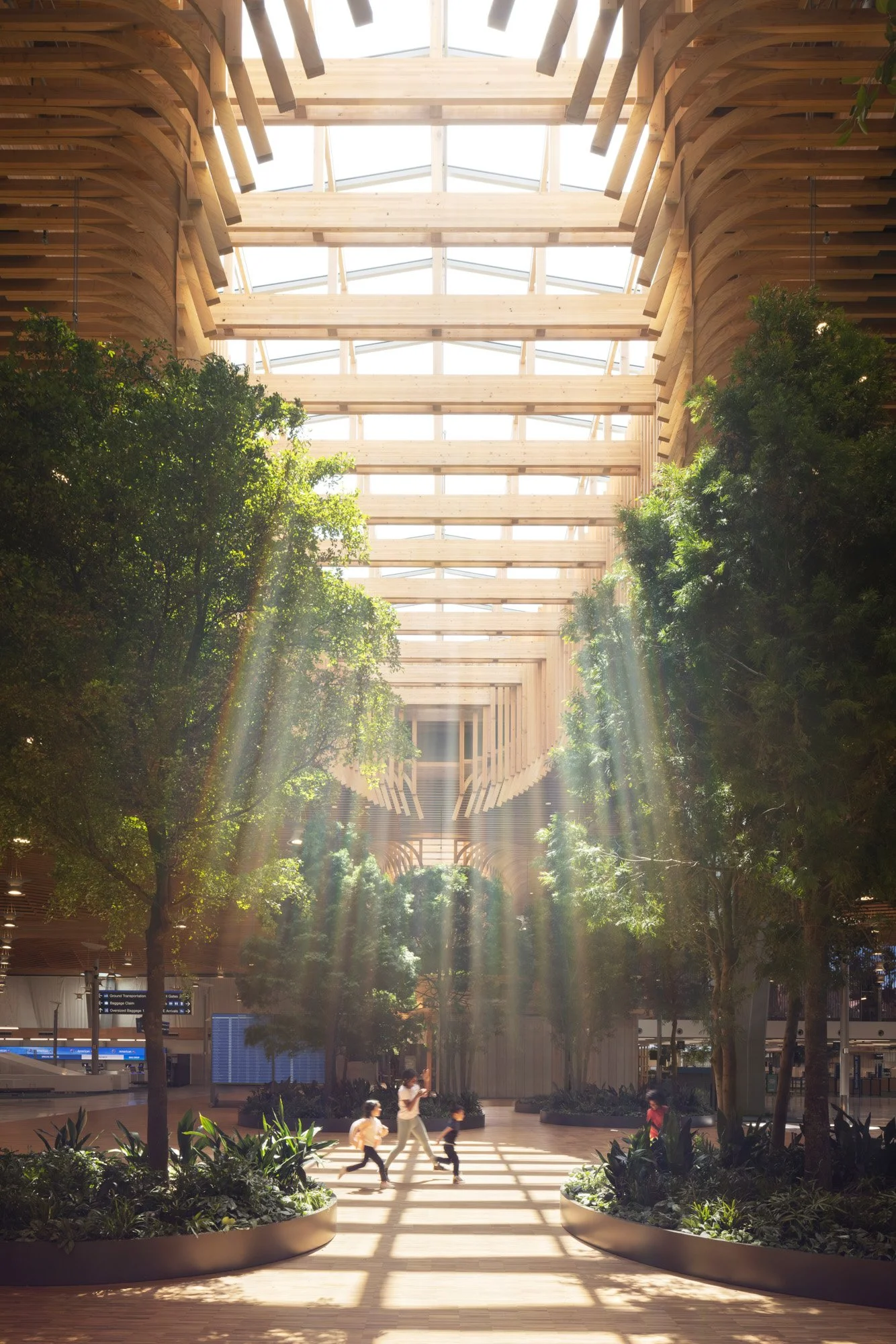 ZGF Timber — Ema Peter Photography