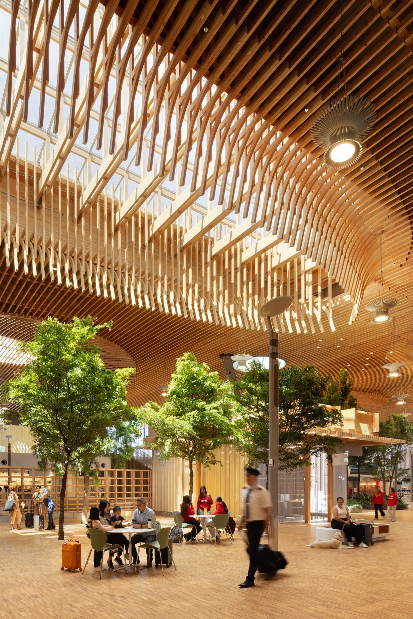 ZGF Timber — Ema Peter Photography