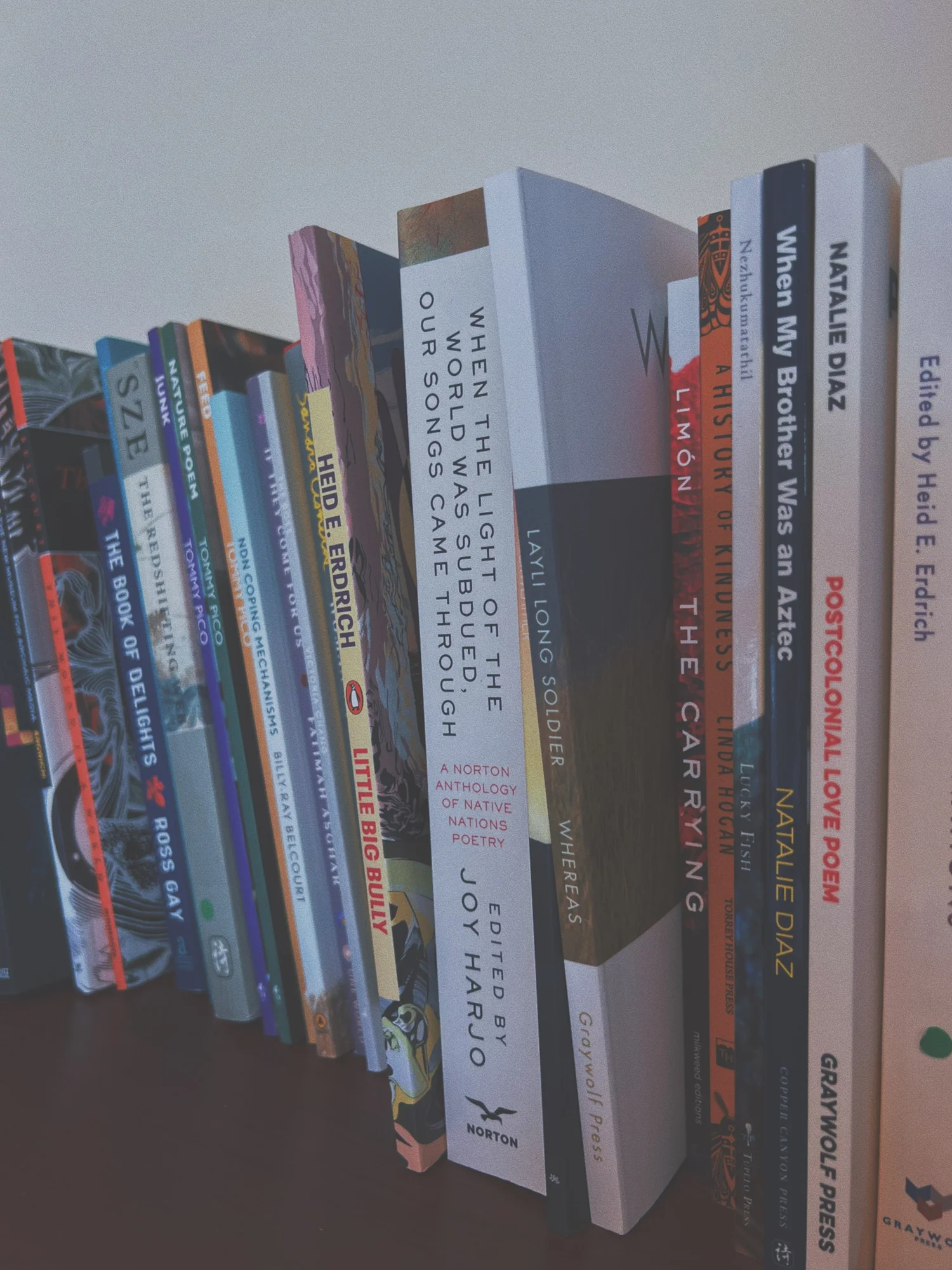 About — NDN Girls Book Club