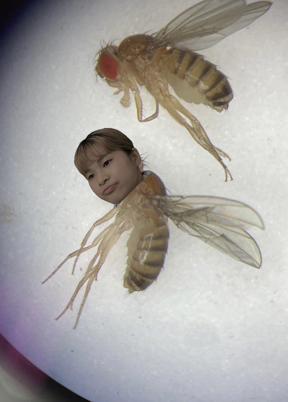 Chi-Shan - PHChen Lab