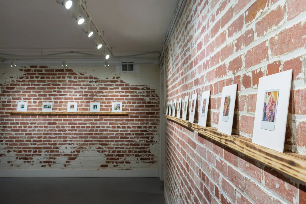 Link Photography Gallery + Workshop