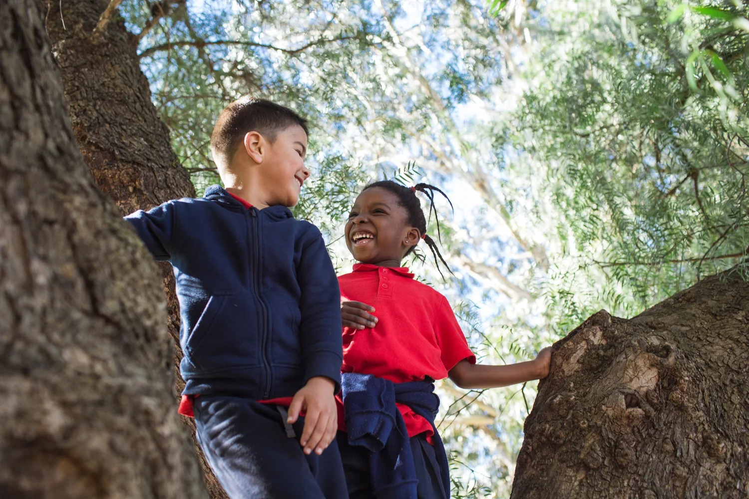 Dandenong Primary School