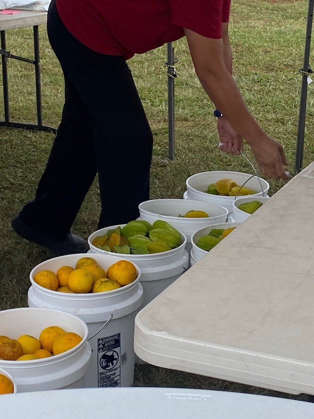 Food Distribution — Upcountry Strong