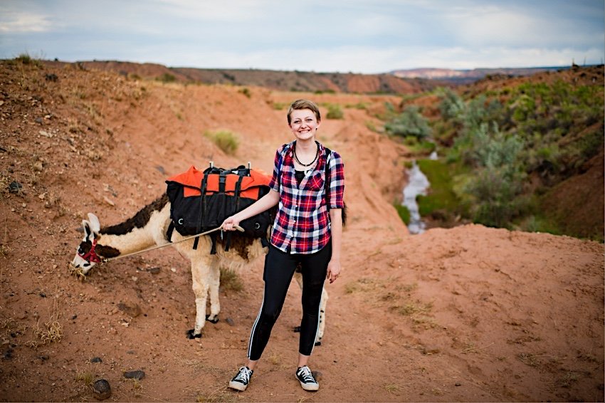 Llama Llama Ding Dong — Adventuring With Amy B