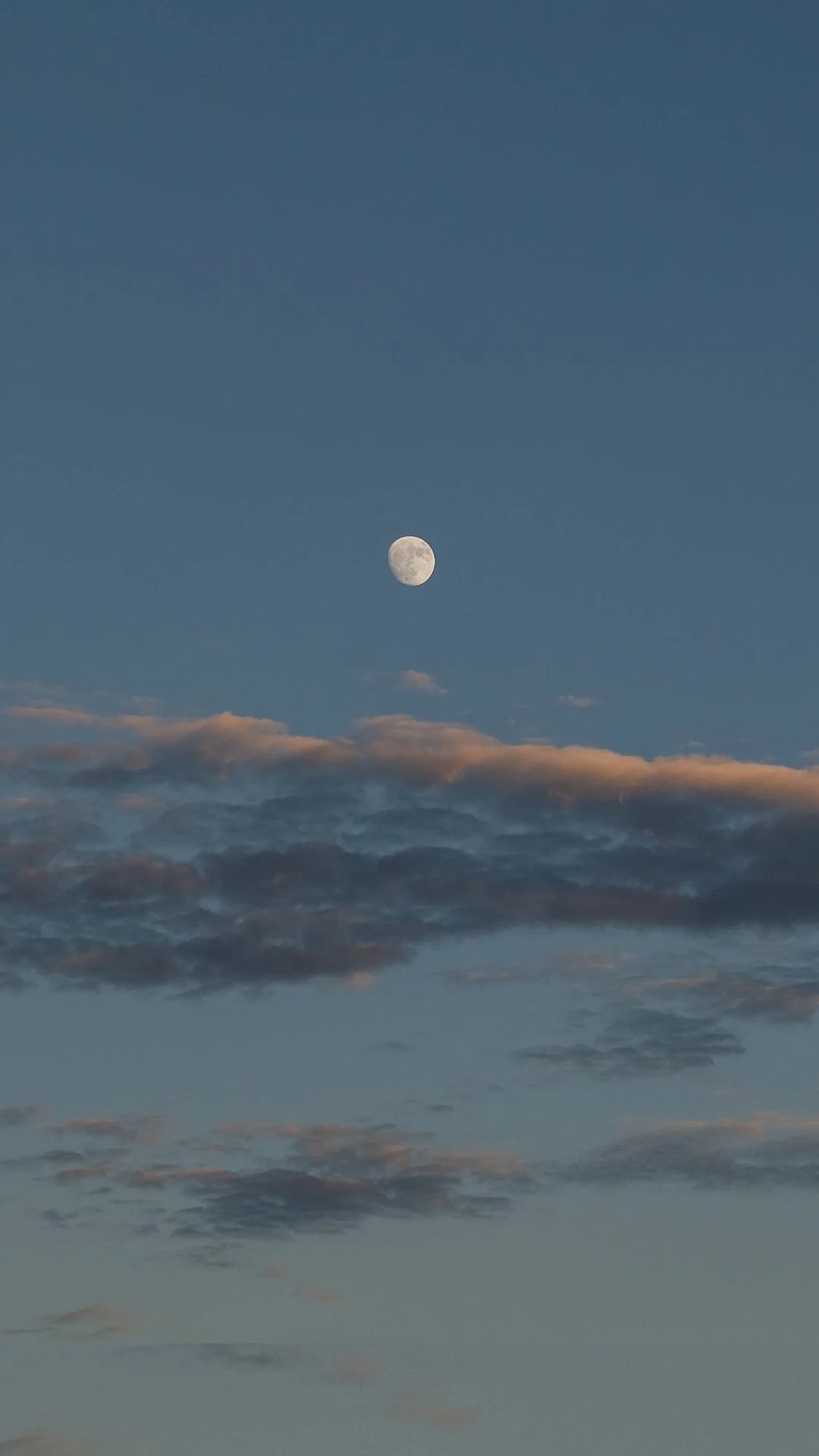 Ayala Center Cebu — Wink Laser Studio