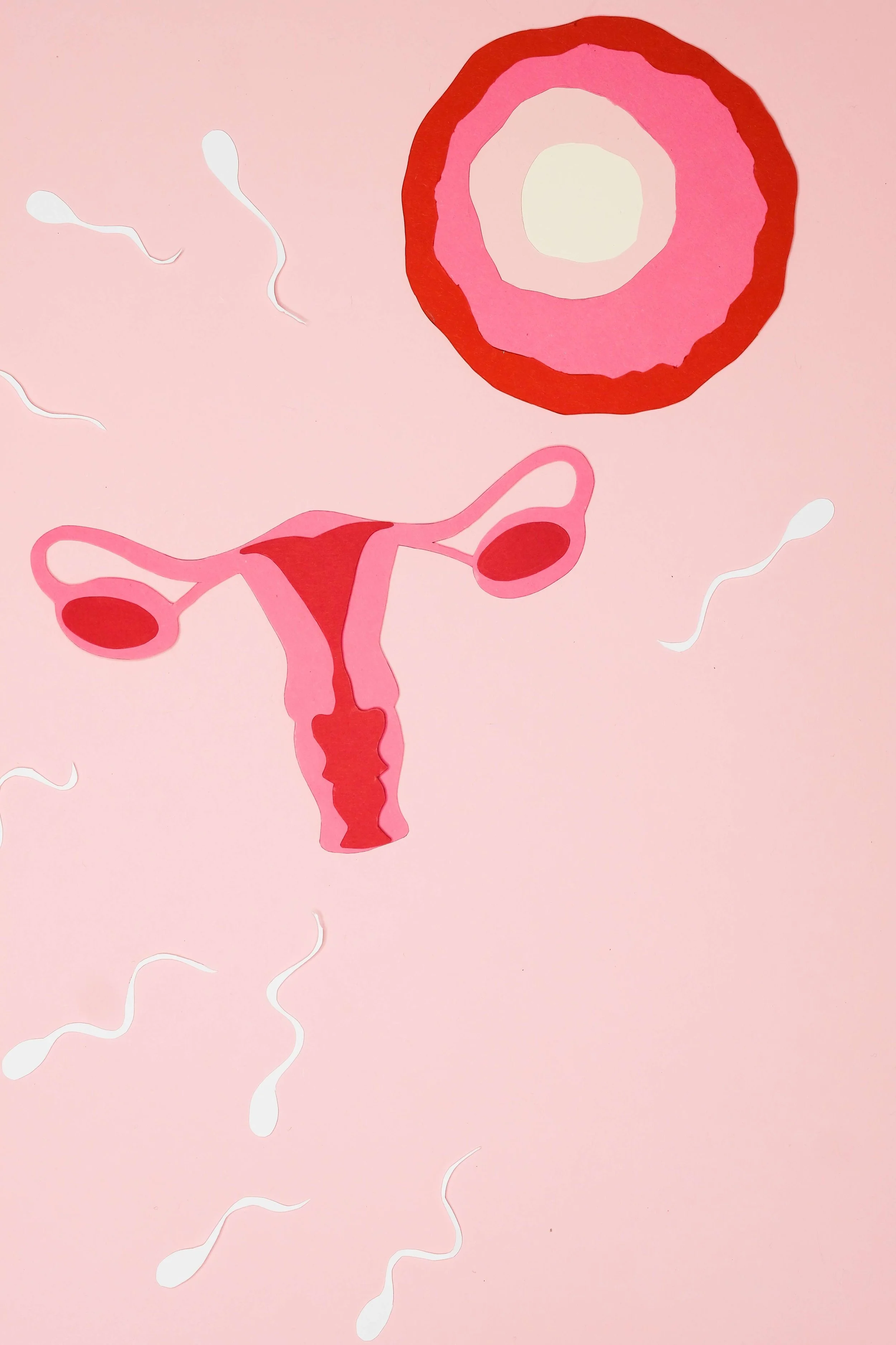 The Ultimate Guide to Basal Body Temperature Charting for Fertility ...