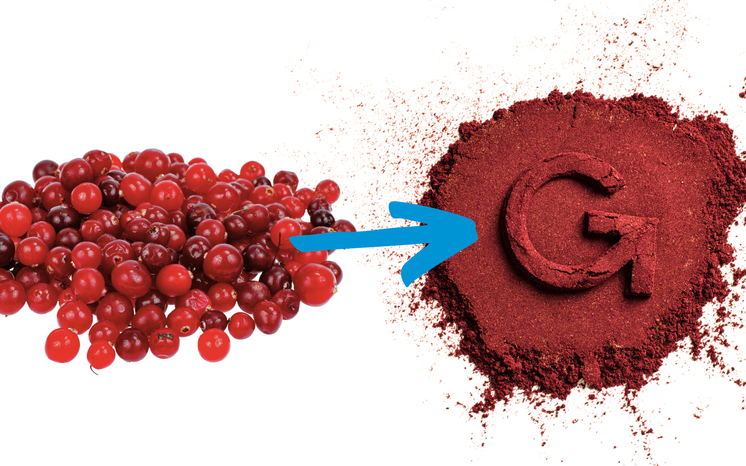 Ground-Breaking 2-in-1 Food Drying Technology — GTF