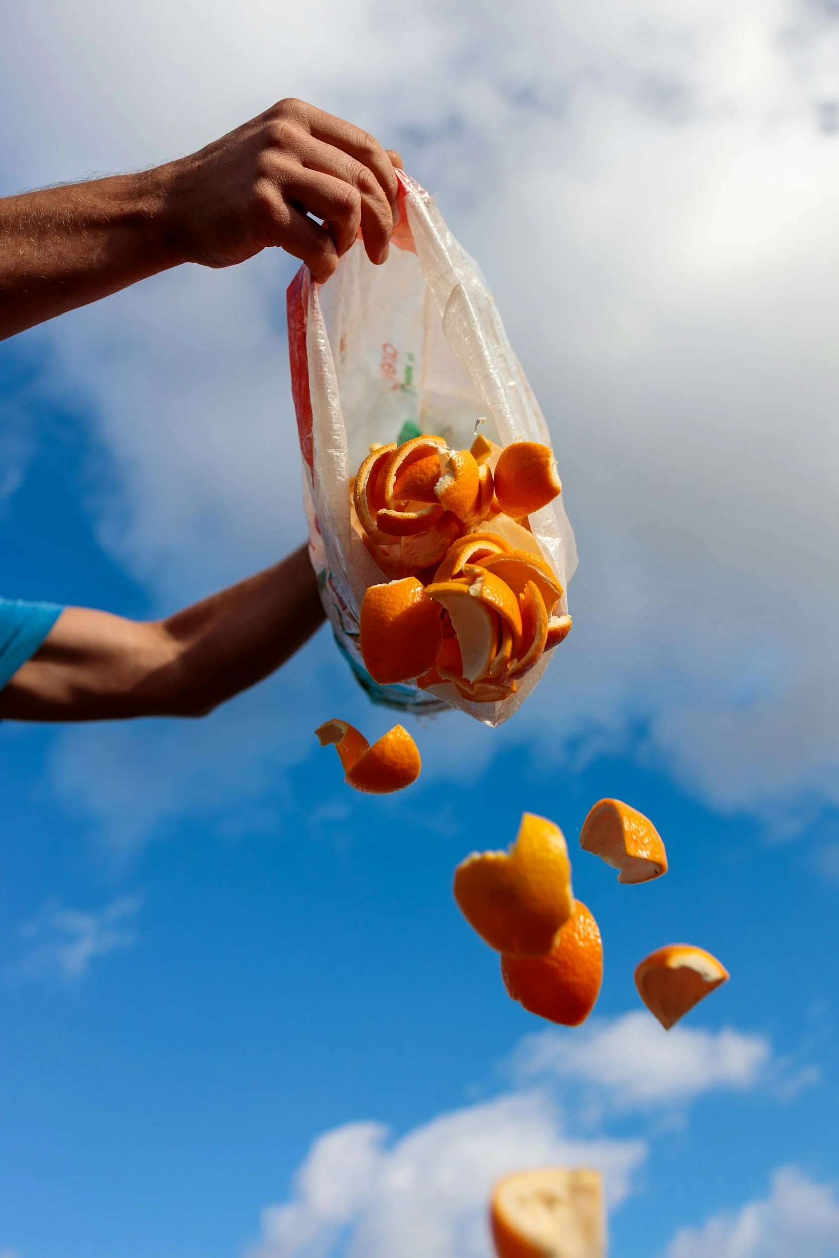 Taming the Trash Monster | GTF Technologies