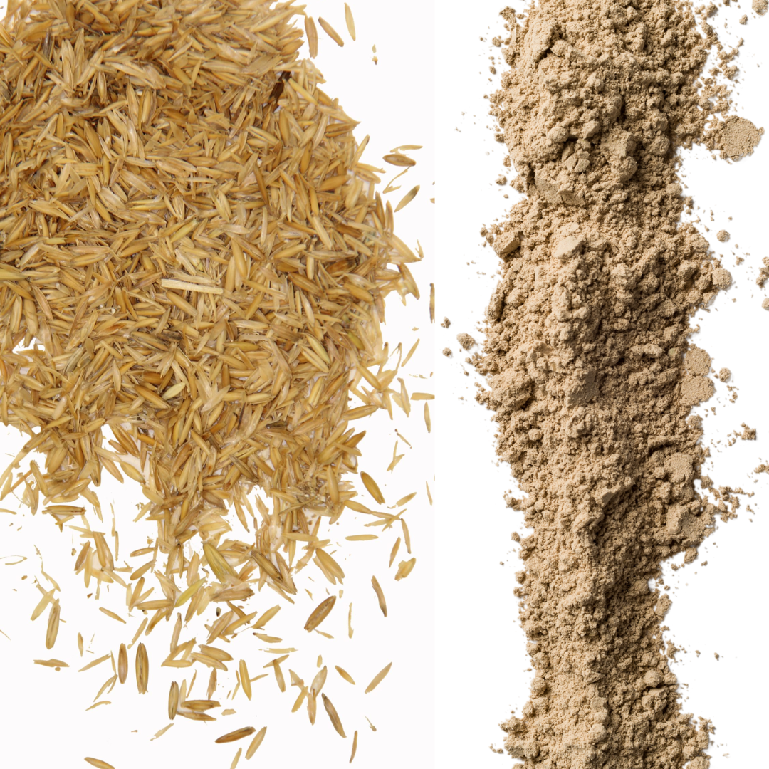 Powder Processing with GTF - A Year in Review | GTF Technologies