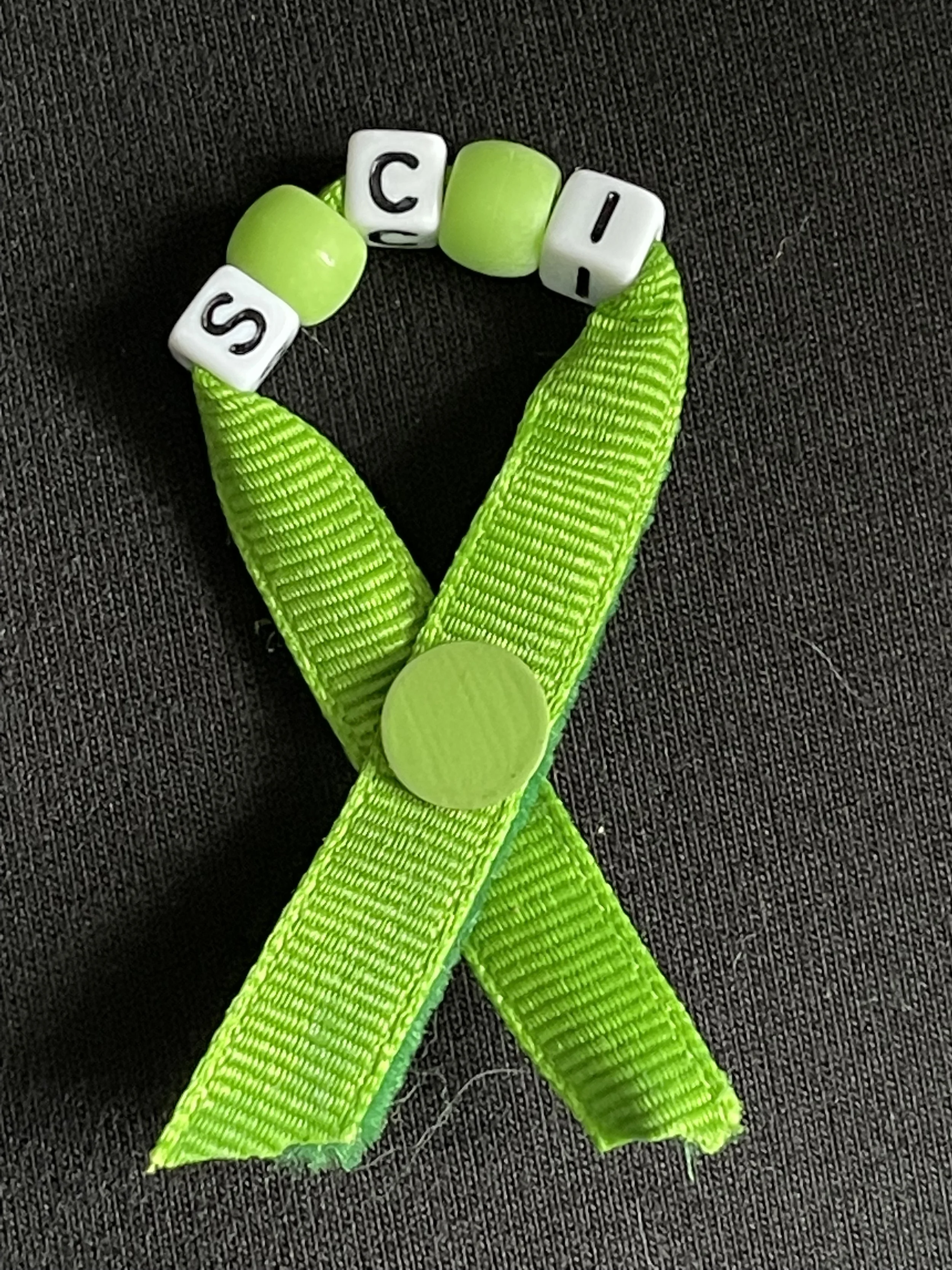Spinal Cord Injury Awareness Month — SCSCIA