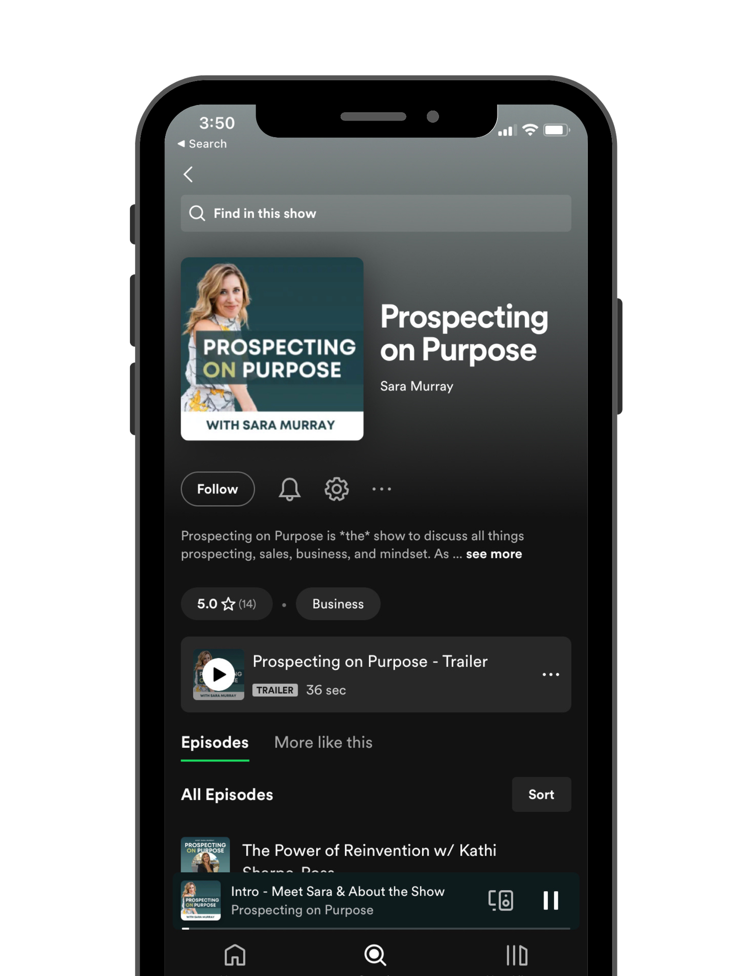 Podcast | Learn, Connect, Sell Now — Sara Murray