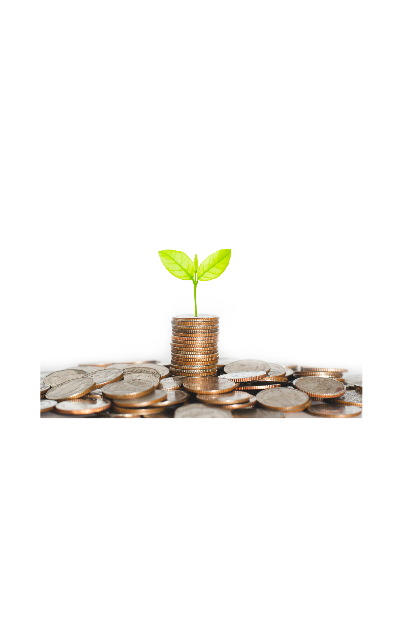 Fundraising & Development Plans — Adelante Partners Inc.
